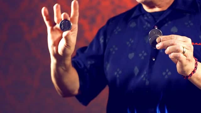 Three Fly 3 by Daryl (Instan..