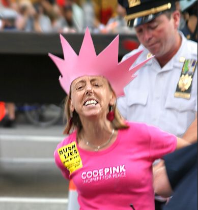 CODEPINK - Canary Mission