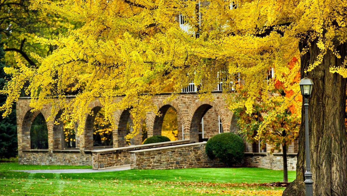 Alumni - Hamilton College