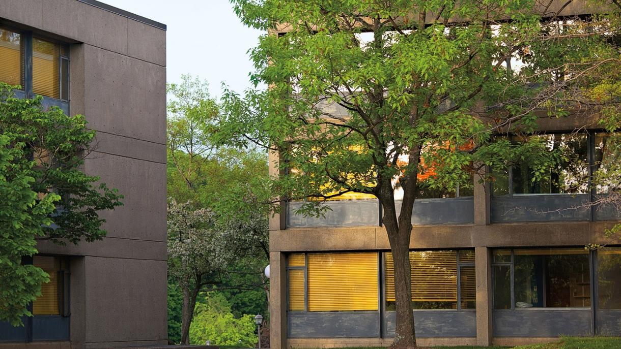 Virtual Backgrounds - Hamilton College