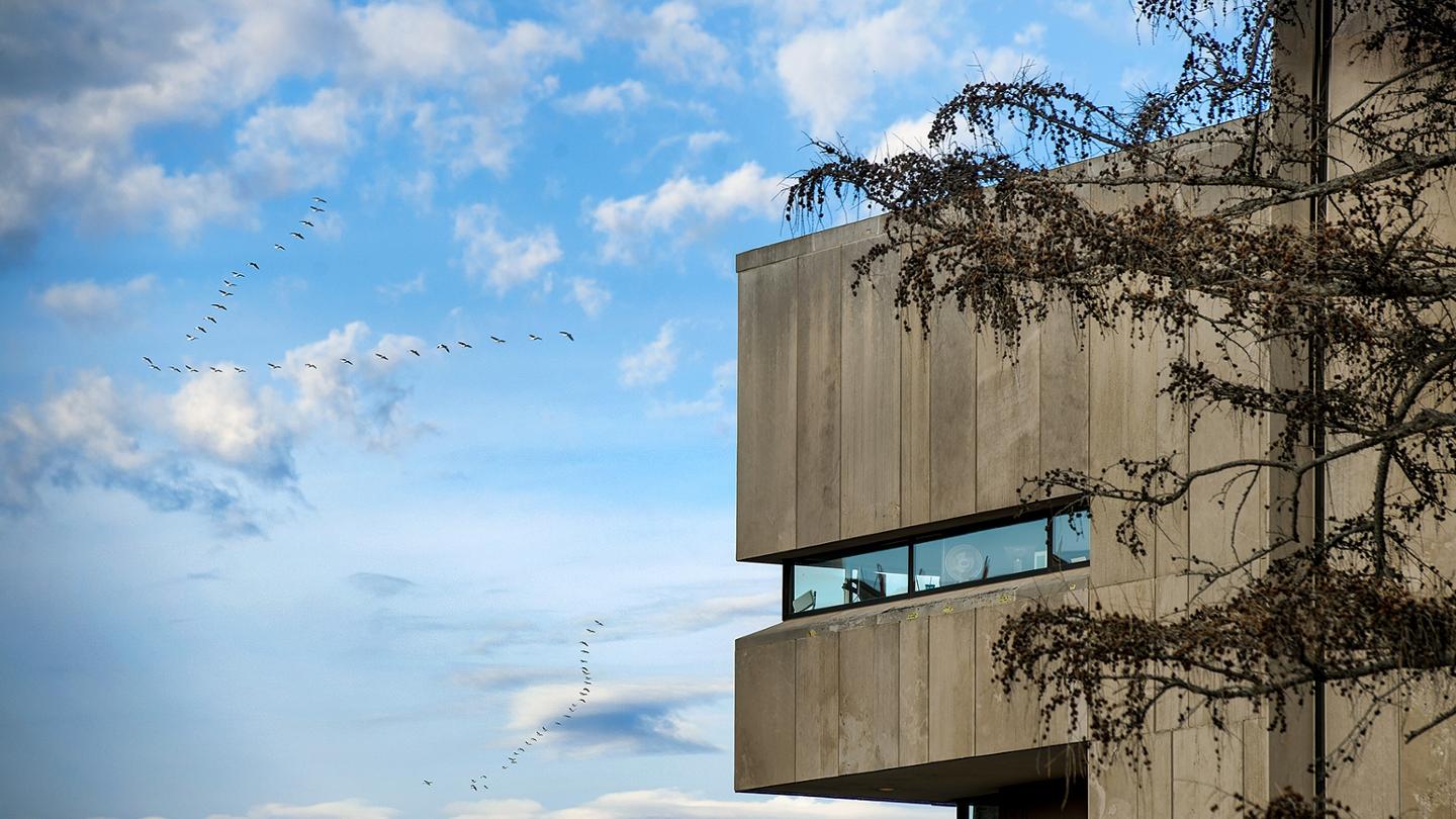 Information about the College - Hamilton College