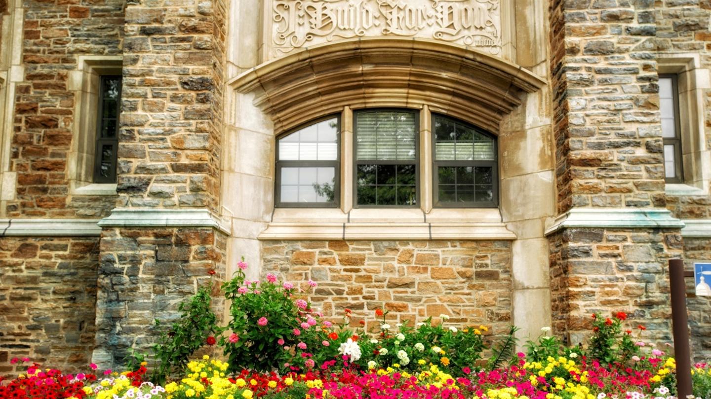 Virtual Backgrounds - Hamilton College