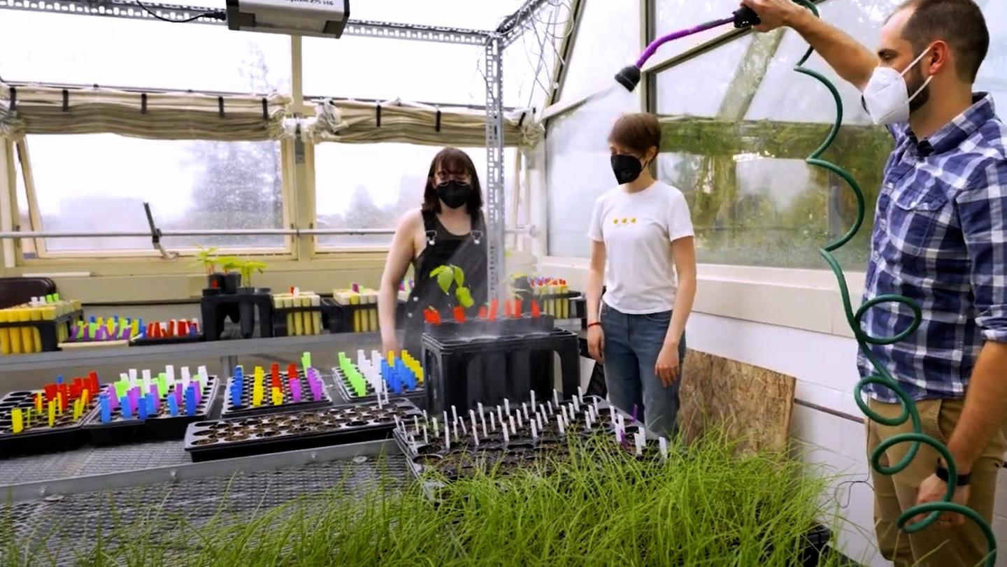 Campus Facilities - Hamilton College