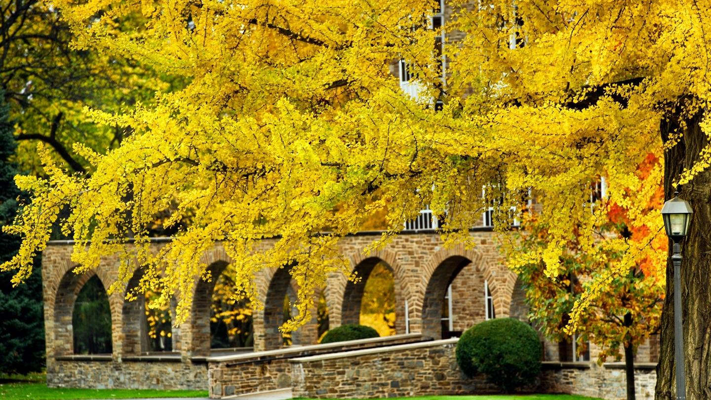 History & Traditions - Faces Behind the Facades - Hamilton College