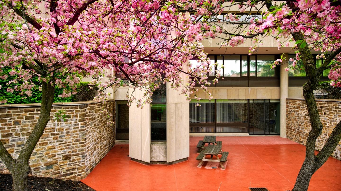 Alumni - Hamilton College