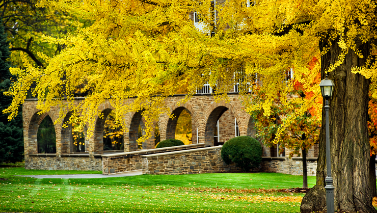 Webcams - Virtual Backgrounds - Campus Video - Hamilton College