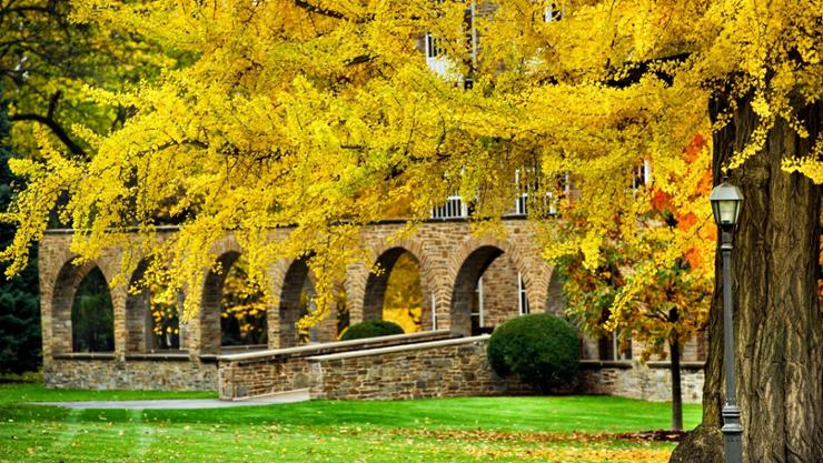 History & Traditions - Faces Behind the Facades - Hamilton College