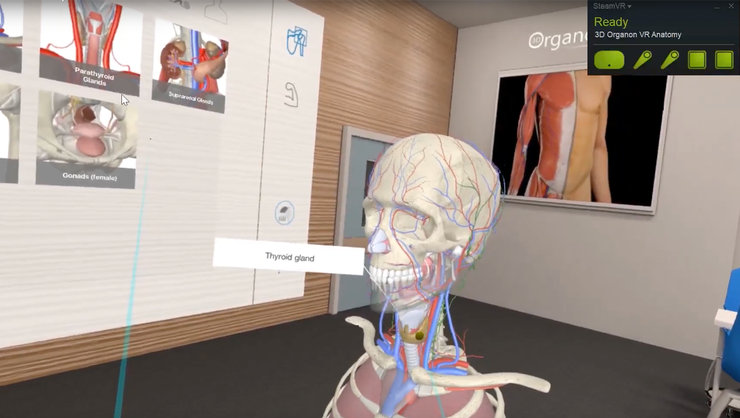 Learning Human Anatomy Via Virtual Reality - News - Hamilton College