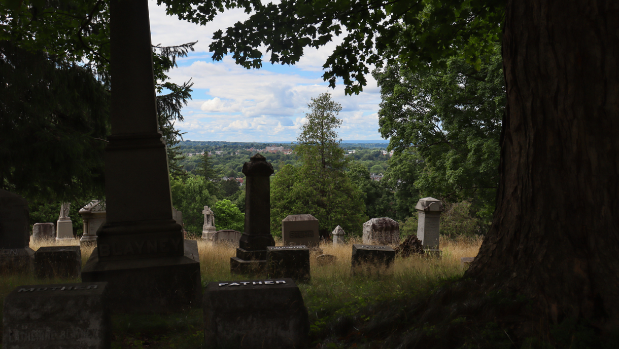 Projects - New Forest Cemetery - Hamilton College