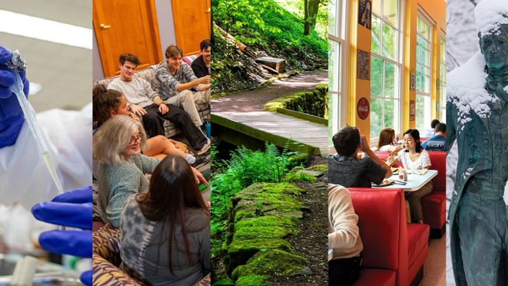 News - Hamilton College