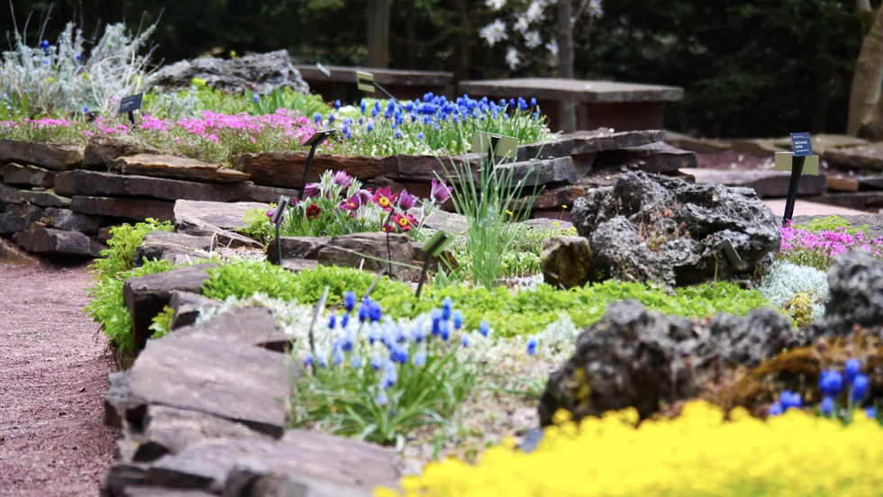 Root Glen - Hamilton College