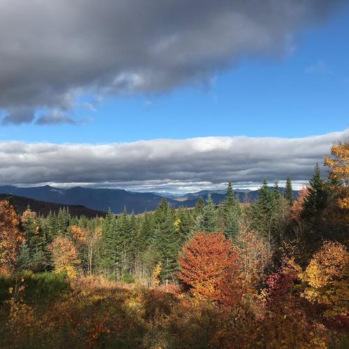 Catching Up With the HOC - News - Hamilton College