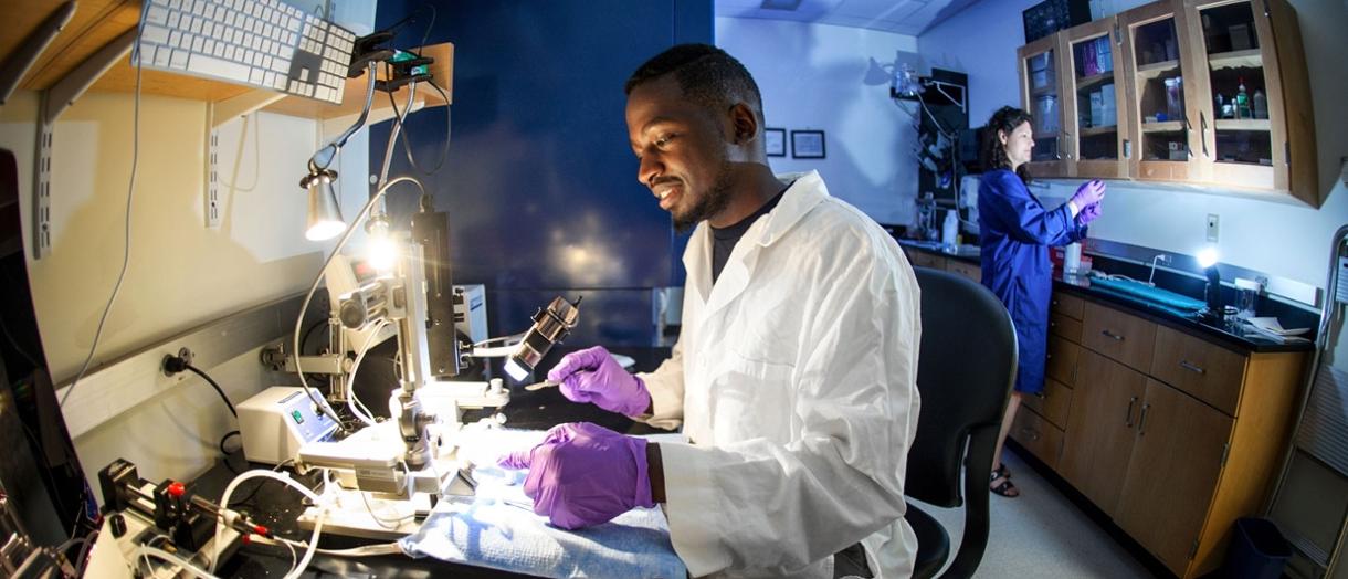 Neuroscience - Hamilton College Areas of Study