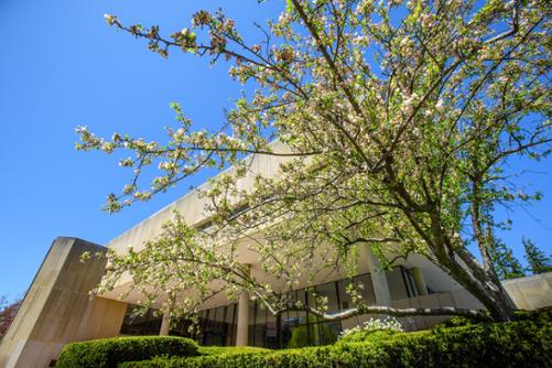 Guides - Hamilton College