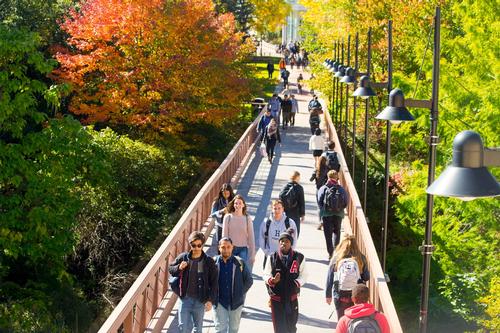 Apply - Application Details - Hamilton College