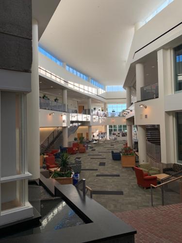 Sociology - Hamilton College Areas of Study