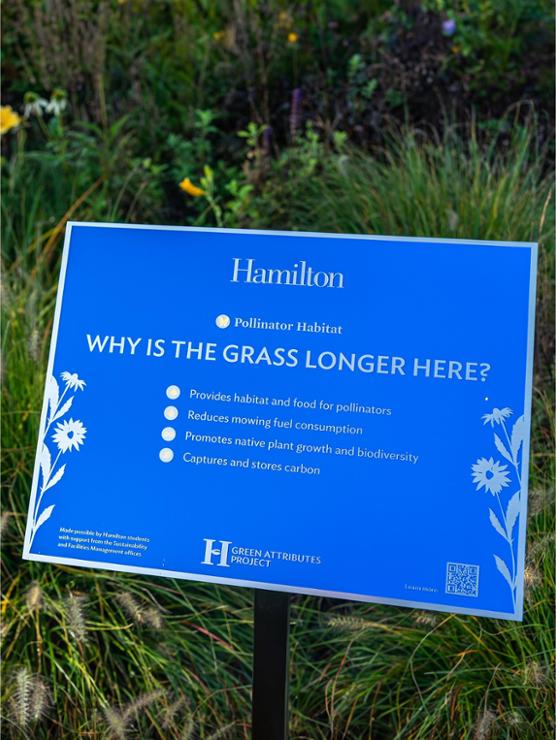 Inside Hamilton’s Student-Led Sustainability Movement - News - Hamilton ...