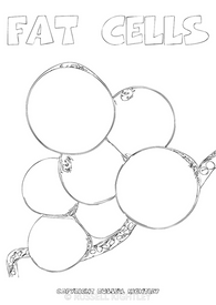 Russell Kightley Premium Scientific Pictures | Immune Cells Antibodies ...