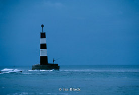 Ira Block Photography | Hofmeyr Skull