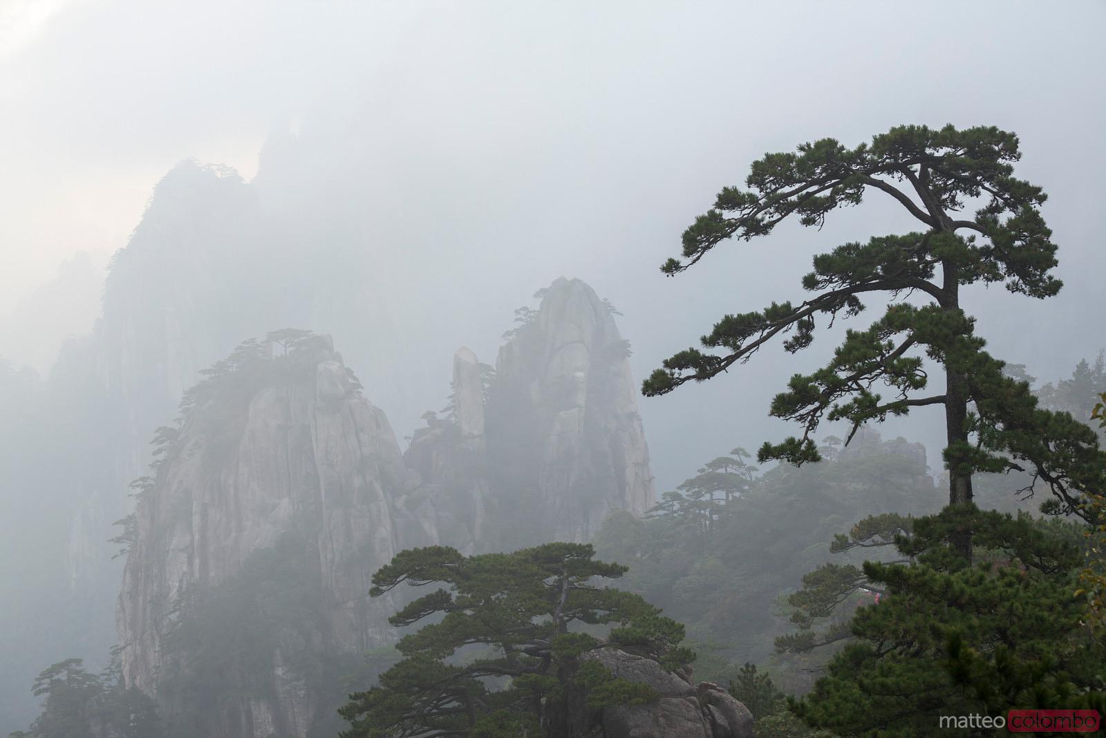 Matteo Colombo Travel Photography | Huangshan mountains in the fog ...