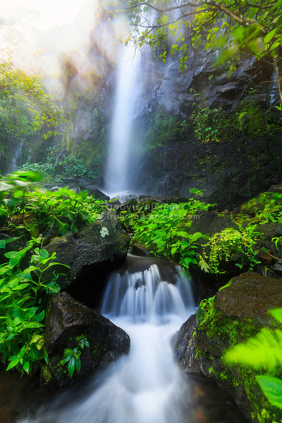 Photo: Anse des cascades, Sainte-rose | LR Photographies, Photographe ...