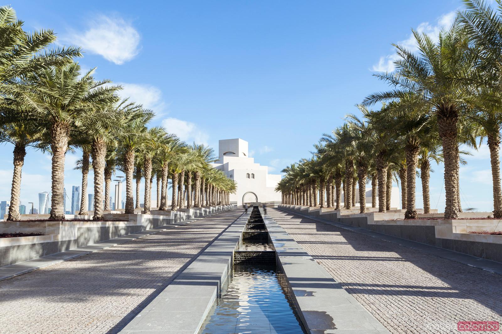 Matteo Colombo Travel Photography | Palm tree lined entrance to Museum ...