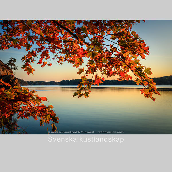 FOTOKONST KUST & SKÄRGÅRD - Bakgrundsbilder - Webbkusten