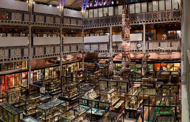 Michael Freeman Photography | Pitt Rivers Museum