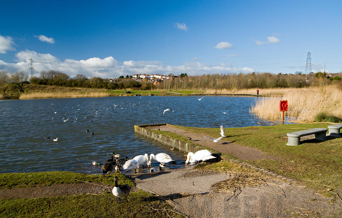 Graham Bell Photography | lamby lake tredelerch park lamby way cardiff ...
