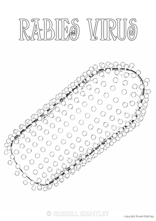 Rabies Coloring Pages Sketch Coloring Page