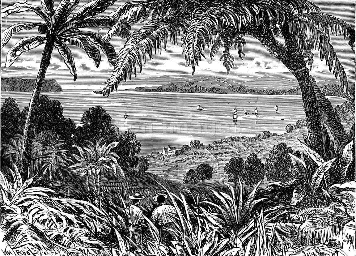 Eon Images | Illustration of Jamaican landscape