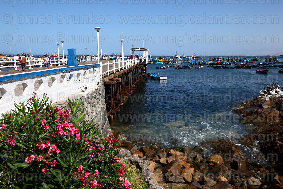 Magical Andes Photography | Historic pier, port in background, Ilo ...