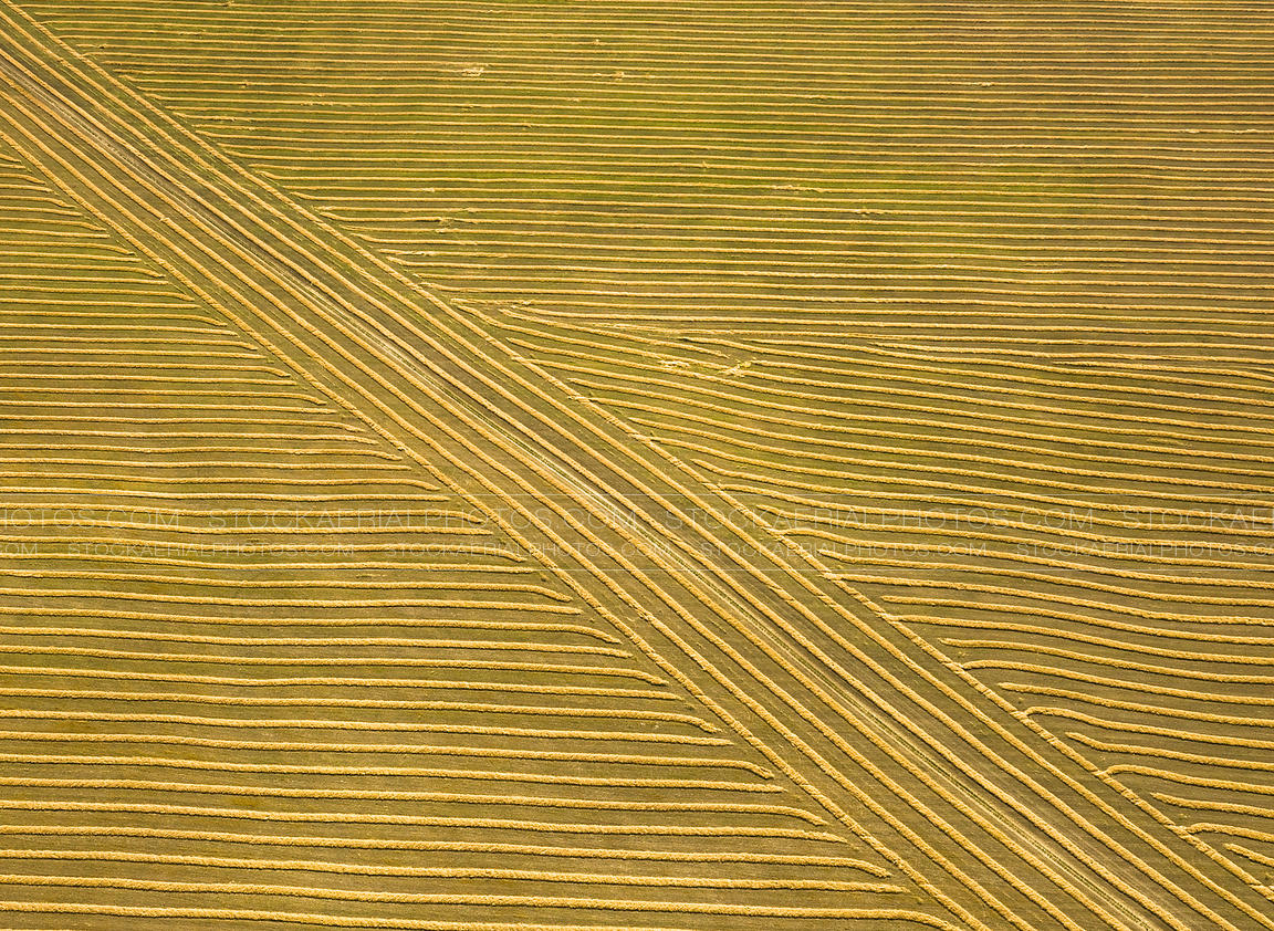 Aerial Photo | Plowed Field Rows