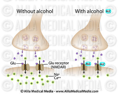 Alila Medical Media | Cell, Molecular Biology & Genetics Images