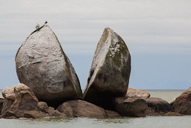 Shepherdpics | New Zealand