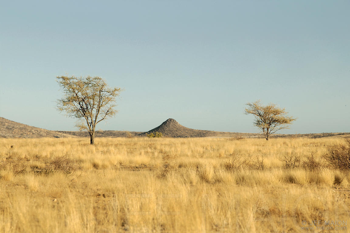 Image: Savanna plain | Stock photo by JF Maion