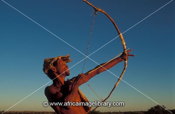 Photos and pictures of: Bushman (San) man hunting with bow and arrow ...