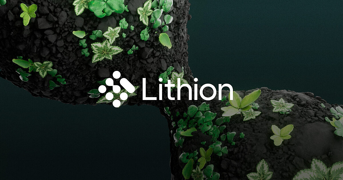 Lithion: the case study | LG2