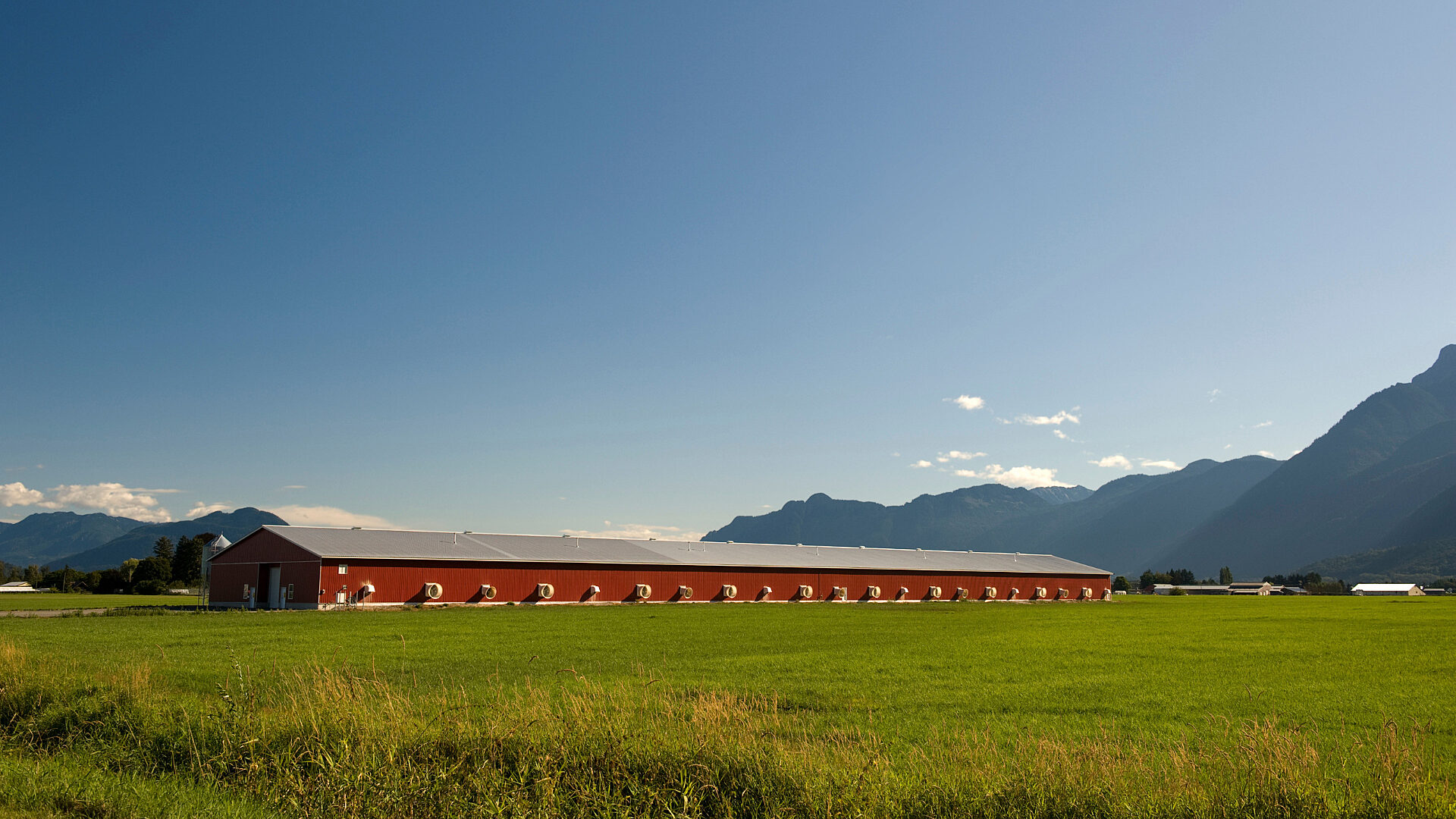 Chicken Farmers of Canada appoints LG2 as Agency of Record | LG2