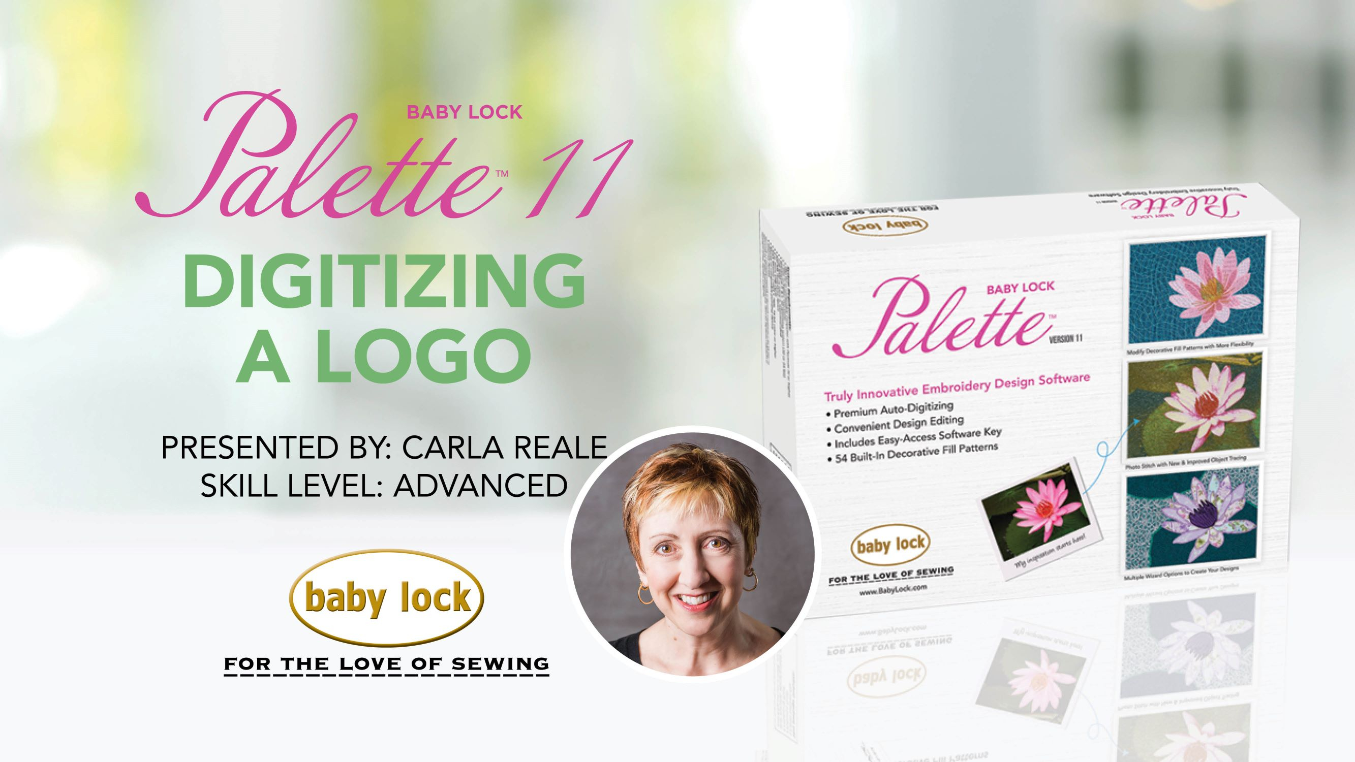 Palette 11 - Digitizing a Logo