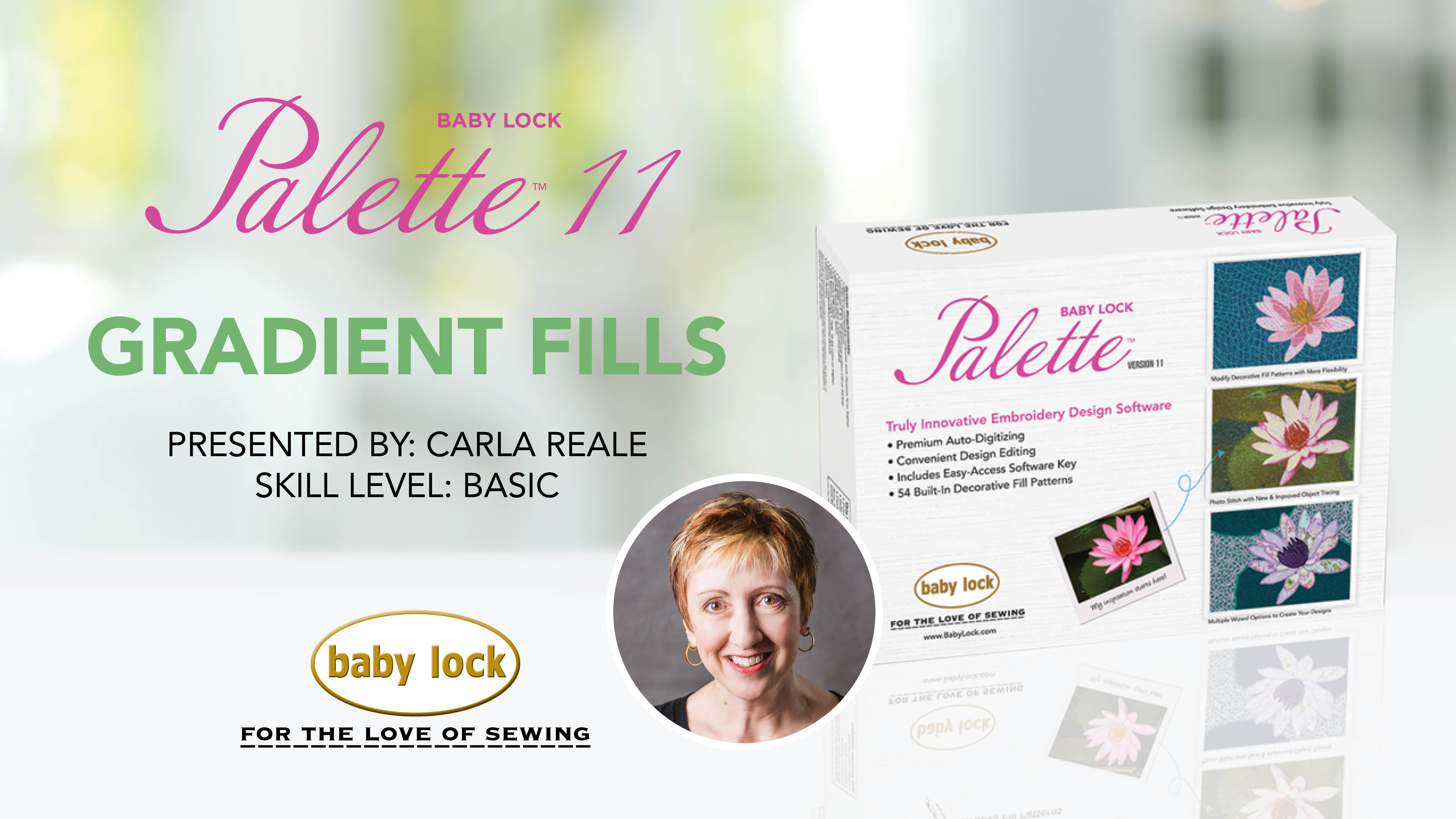 Palette 11 Gradient Fills