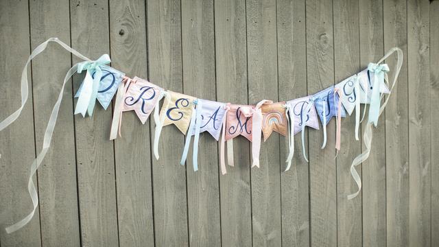 Dream Big Pennant Banner