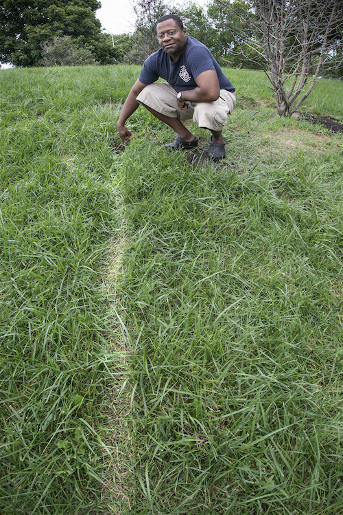 Chicago’s homeless fight a continuing war on rats - Medill Reports Chicago