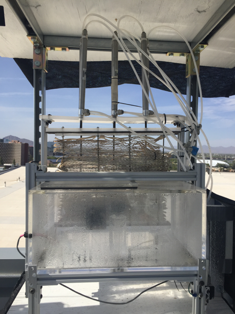 Artificial trees could offset carbon dioxide emissions - Medill Reports ...