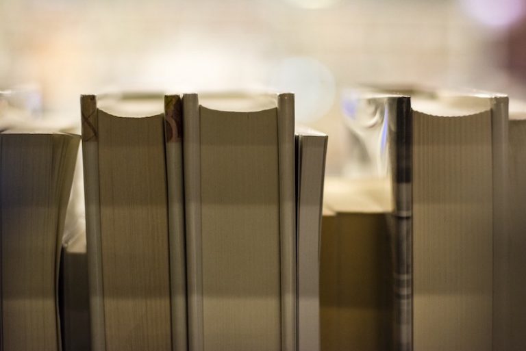 Back of the Yards Public Library: When a library can’t serve its ...