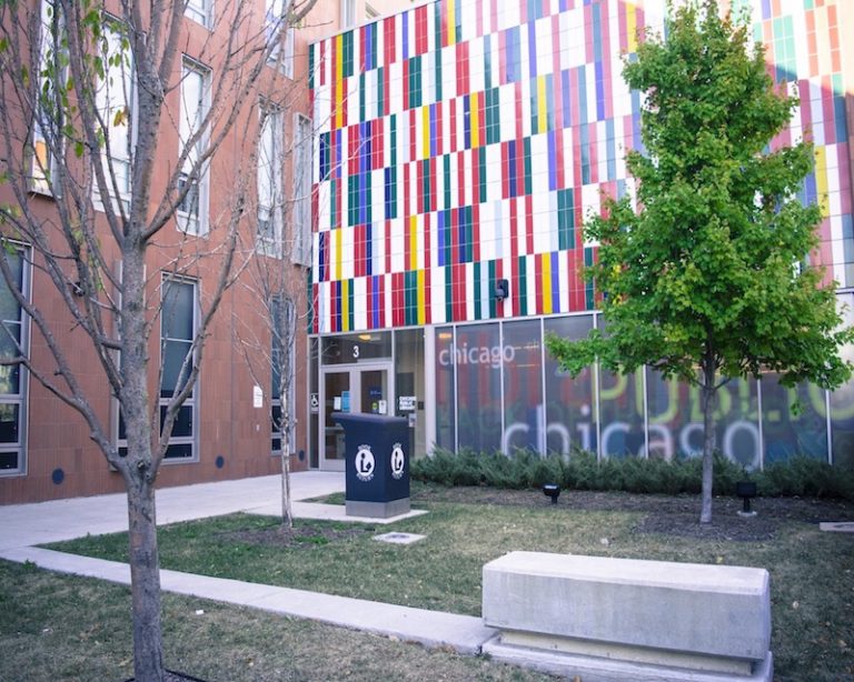 Back of the Yards Public Library: When a library can’t serve its ...