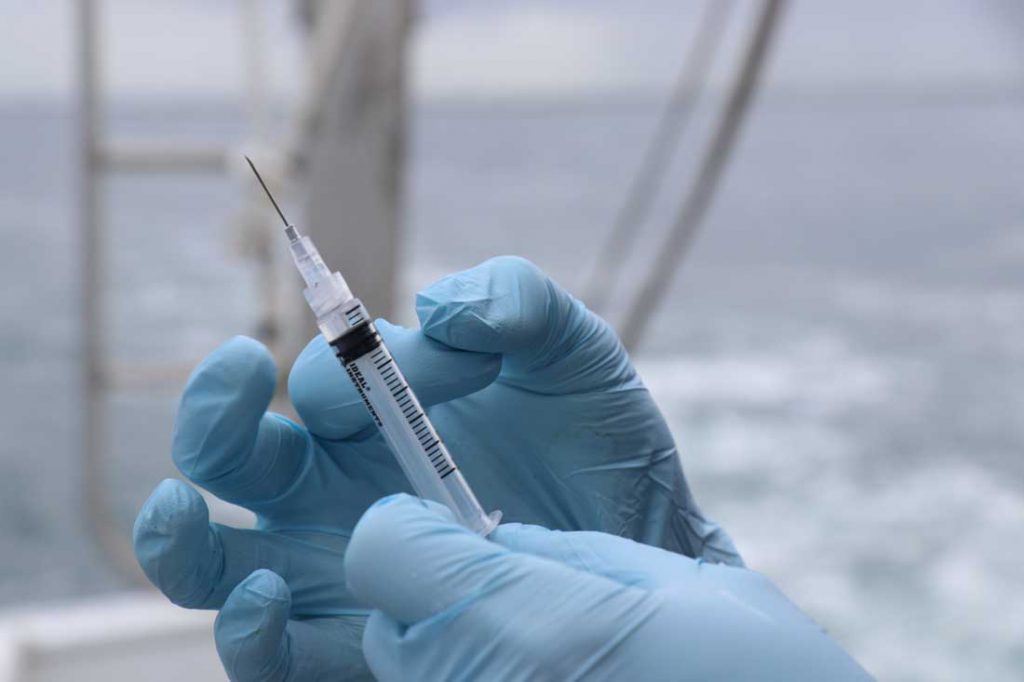 Getting to know sharks one tag at a time - Medill Reports Chicago