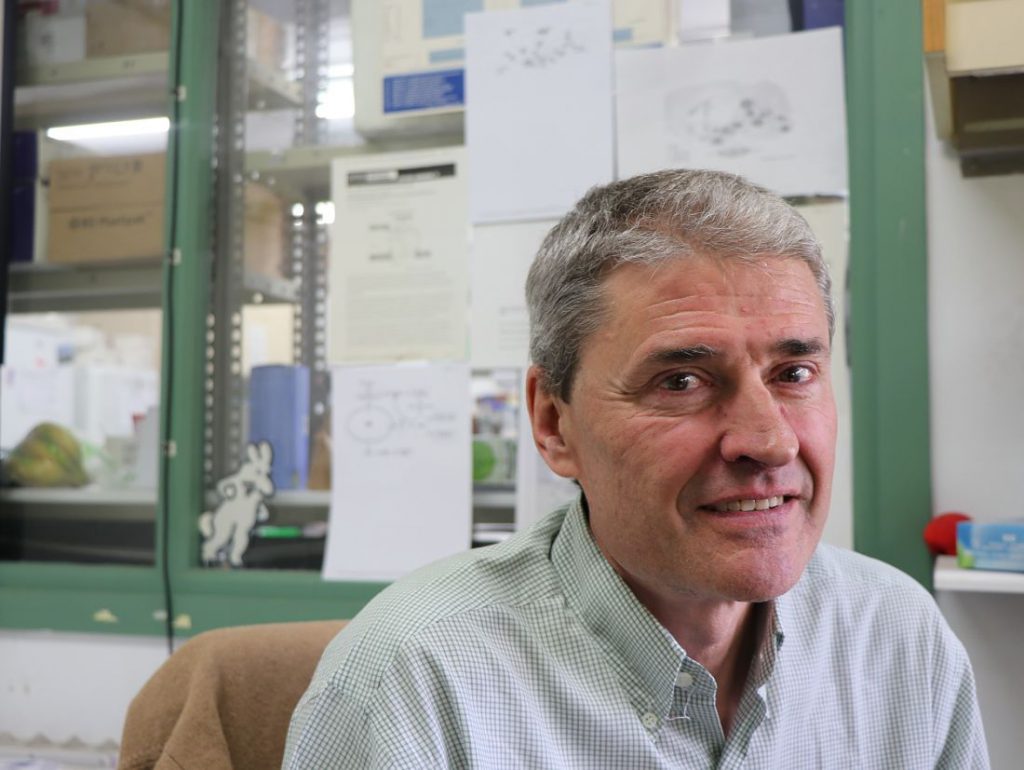 Madrid’s Cajal Institute fosters collaboration among international ...