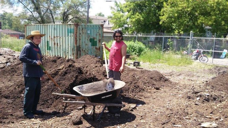 Star Farm Chicago makes urban agriculture accessible, inclusive and ...