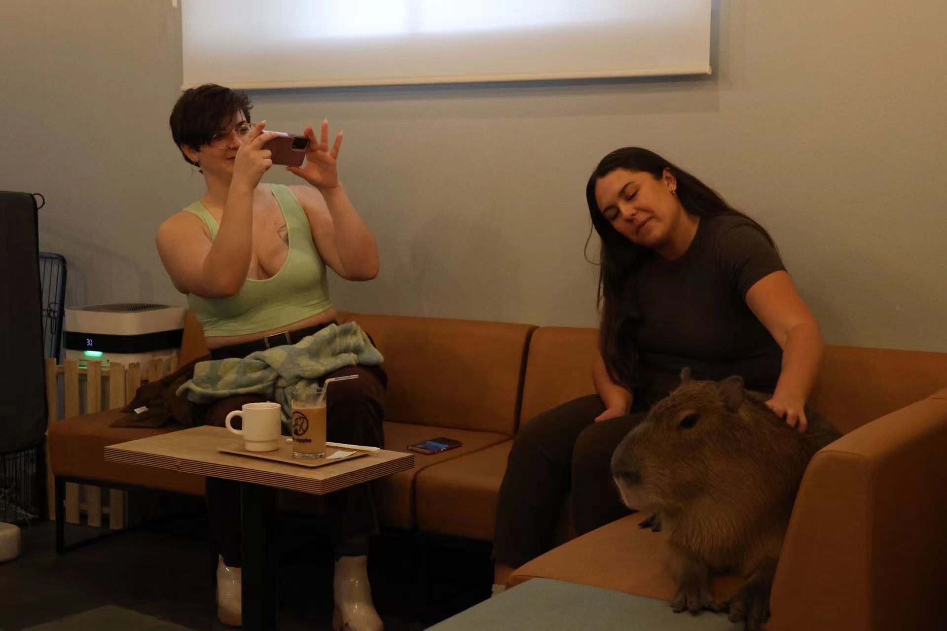 In Tokyo, coffee meets cuteness in the company of capybaras - Medill ...